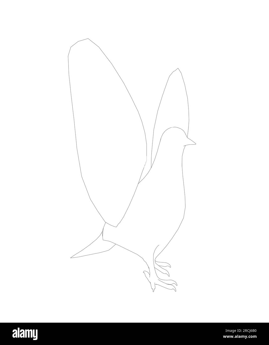 Pigeon vector contour character flat illustration. Dove pigeon seen in ...