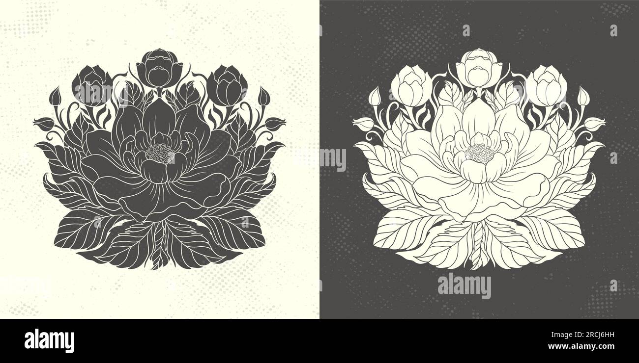 Japanese Lotus Flowers Drawings