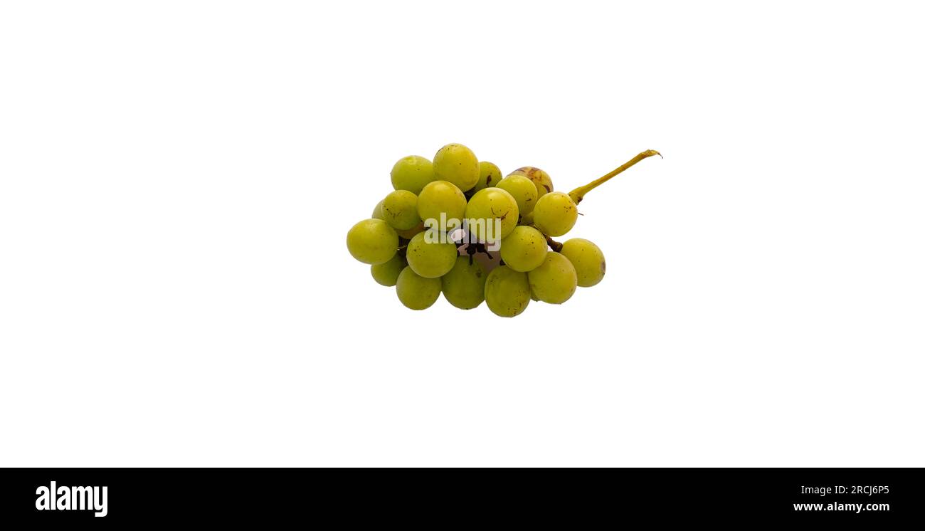 Green grapes or angoor on white background. naturally beautiful grapes ...