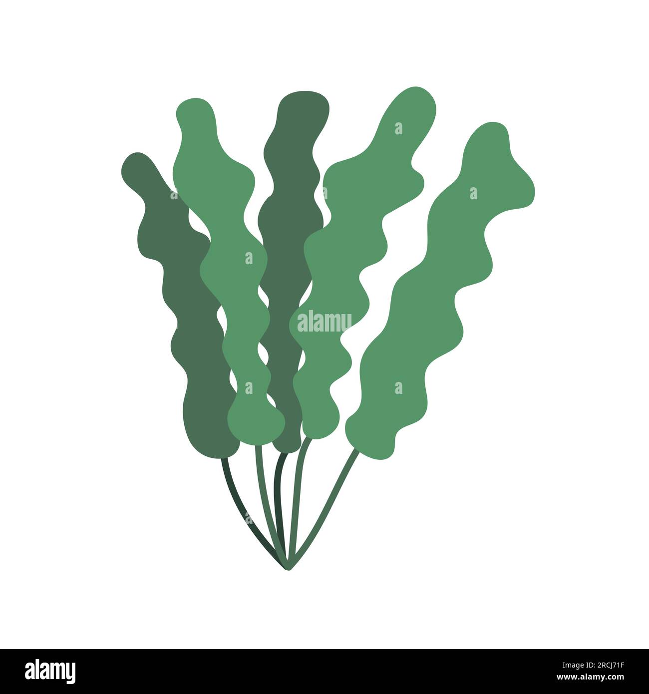 Vector marine algae Stock Vector Image & Art - Alamy