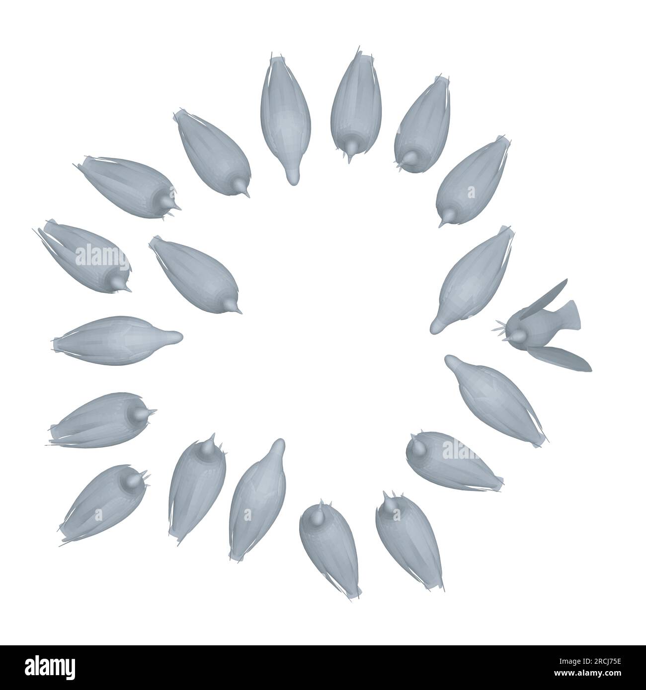 Pigeon gray birds polygonal sitting. Flat cartoon character design ...