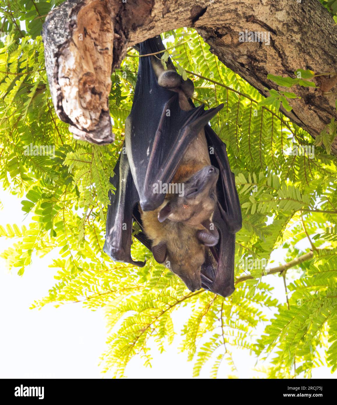 Dar Es Salaam Sioux Falls Sd at Adelina Simmons blog