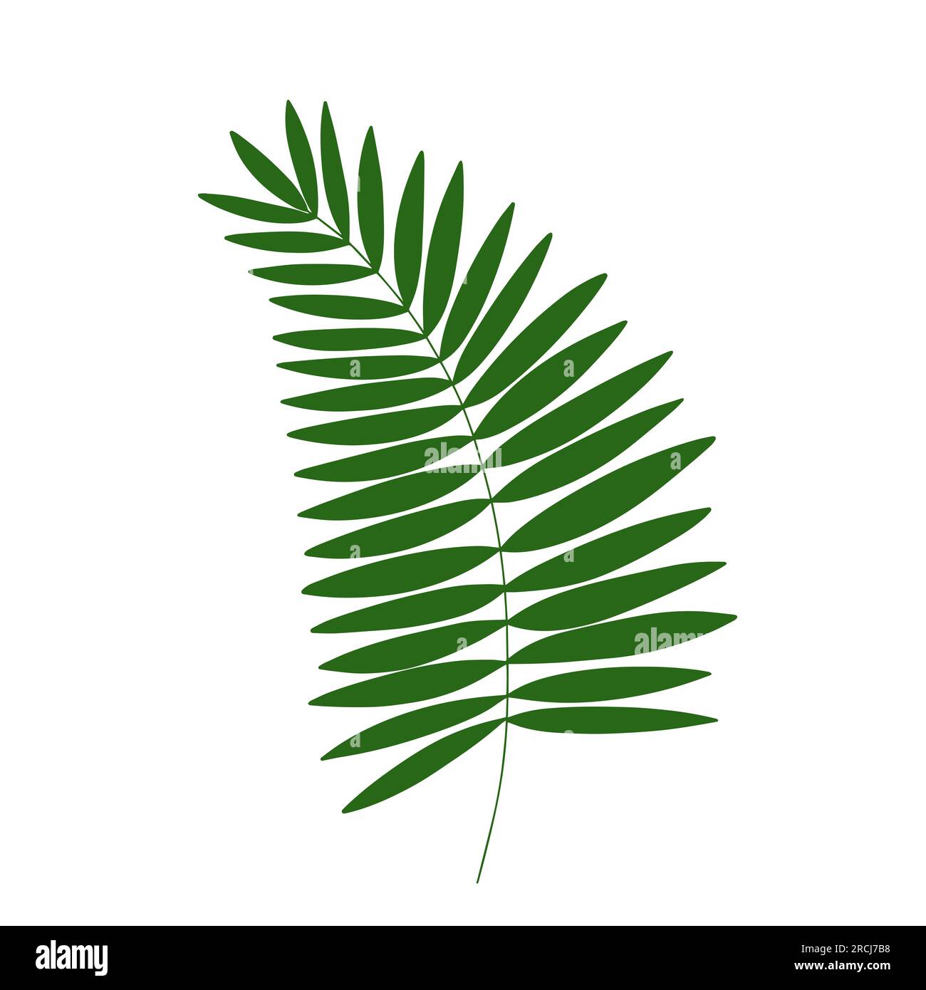 Palm leaf in hand Stock Vector Images - Alamy