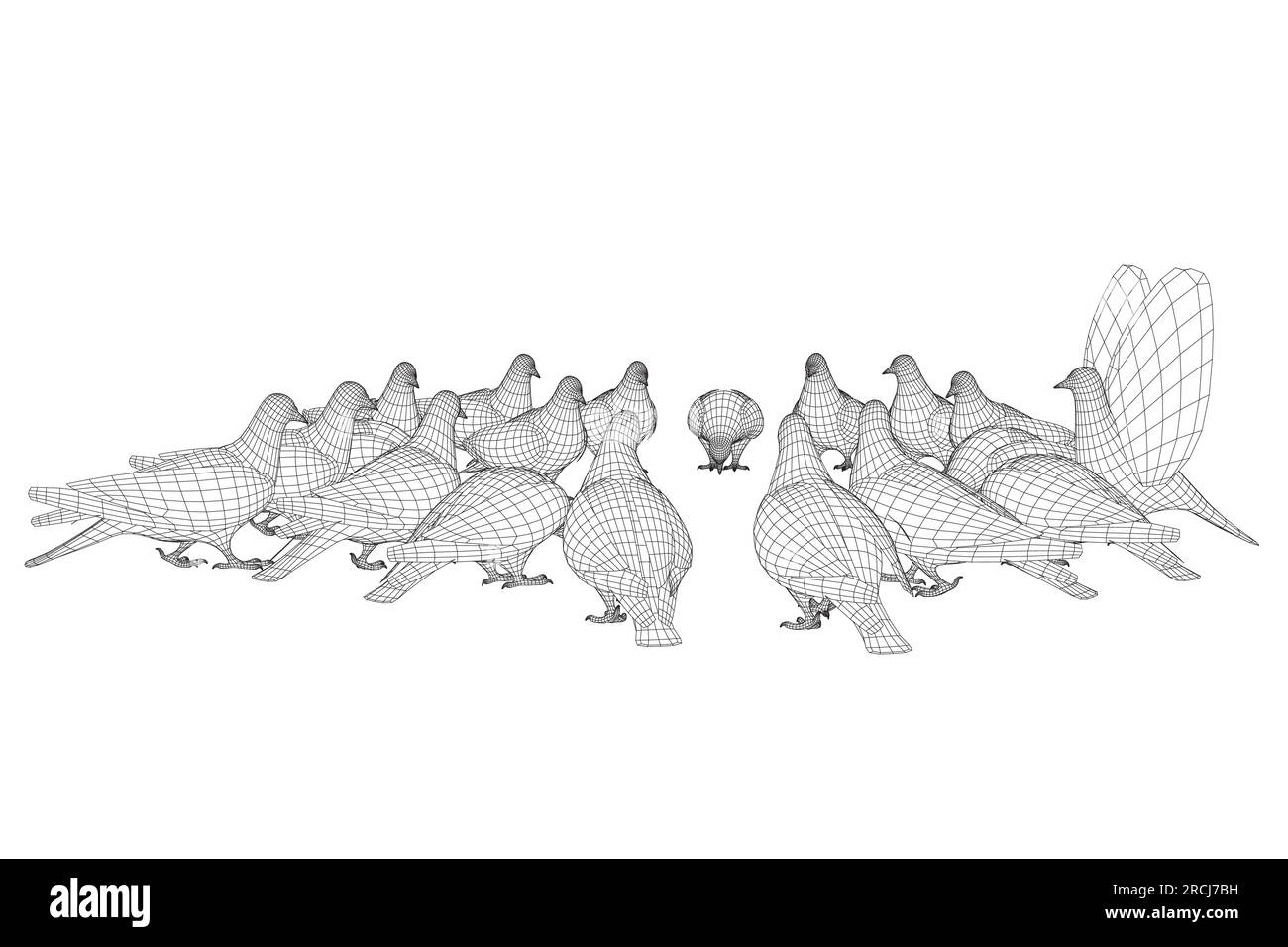 Pigeon bird wireframe sitting. Flat cartoon character design. Outline ...