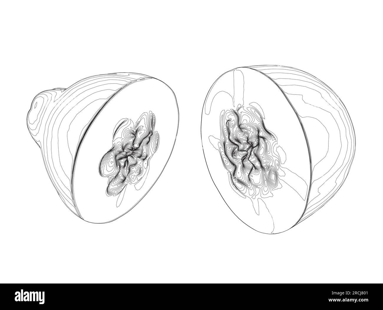 Papaya fruit outline vector icon, drawing monochrome illustration ...