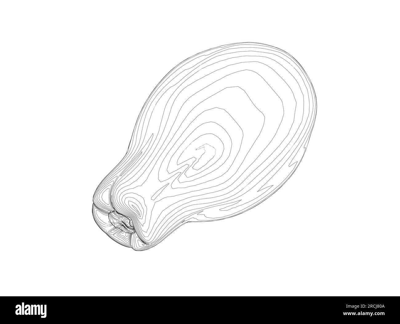 Papaya fruit outline vector icon, drawing monochrome illustration ...
