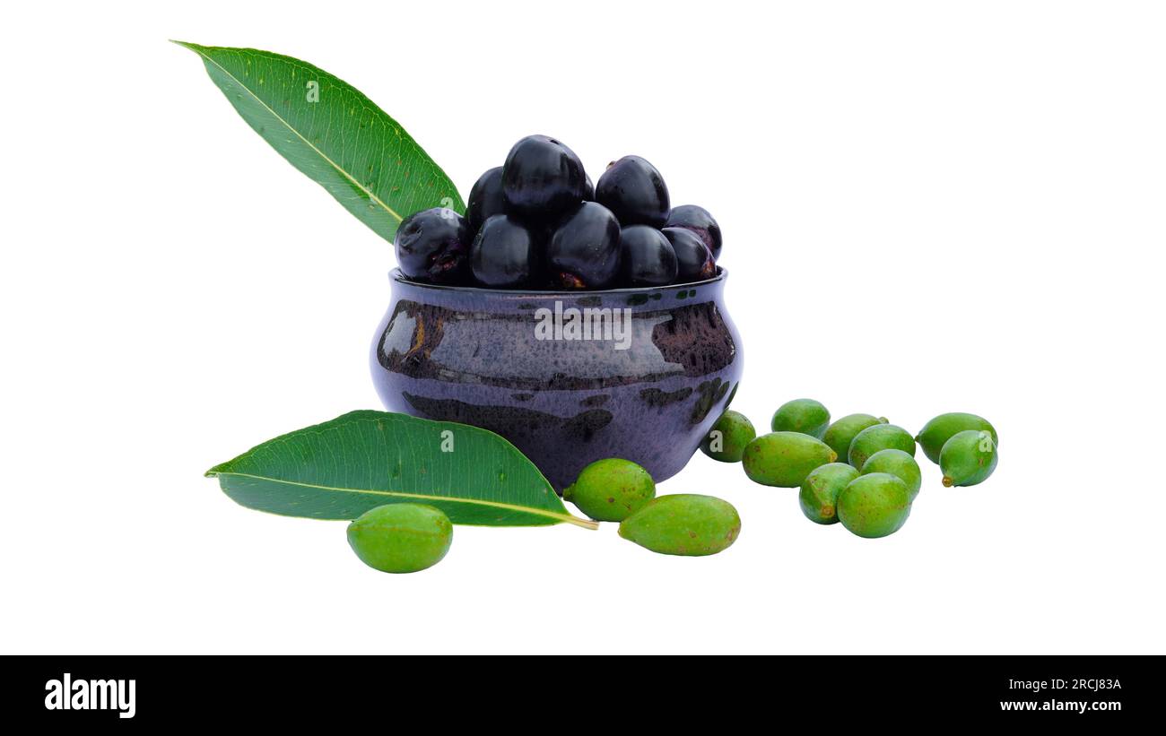 Jamun or Syzygium Cumini in a Bowl with Leaves Isolated on White ...