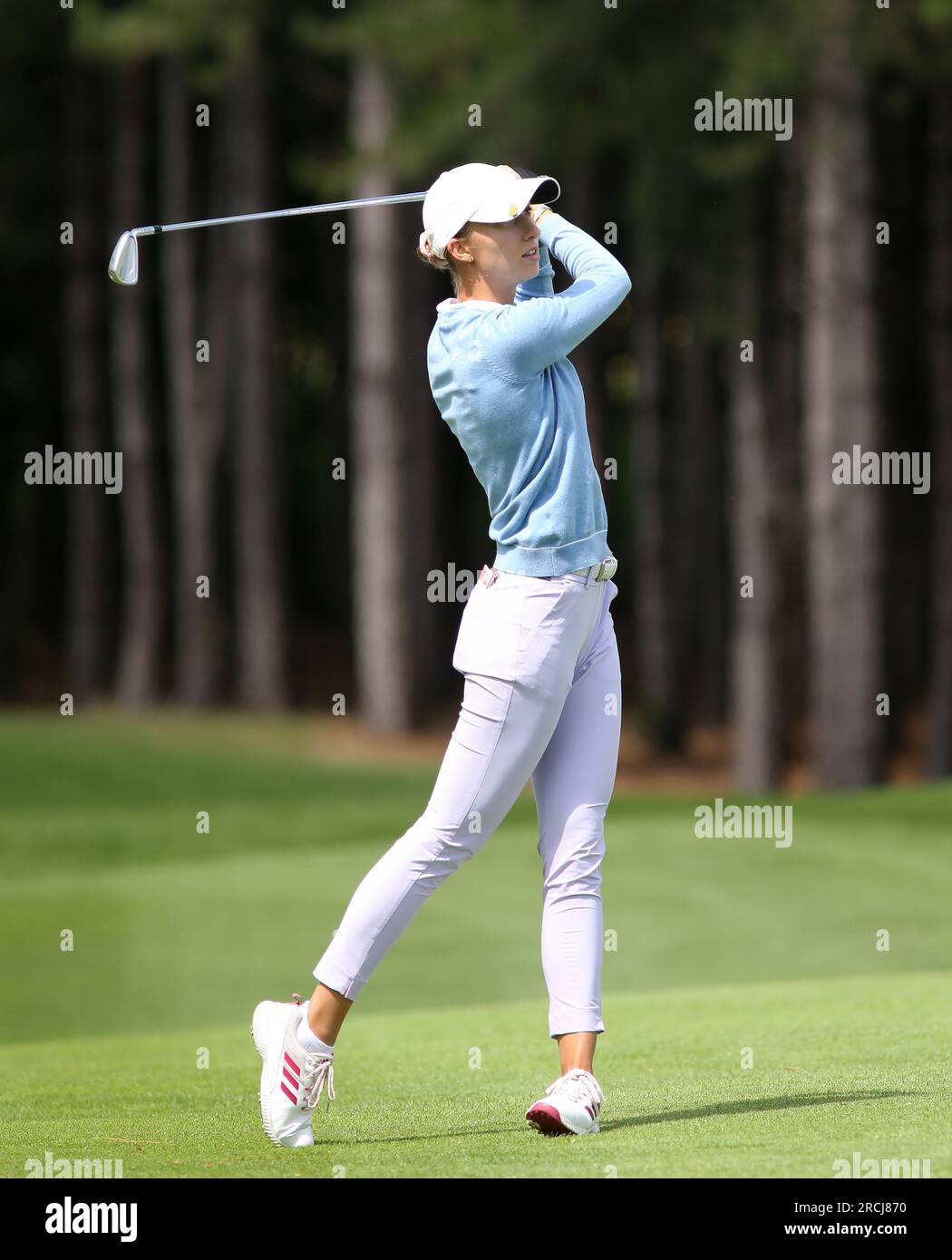 Forsterling hi-res stock photography and images - Alamy