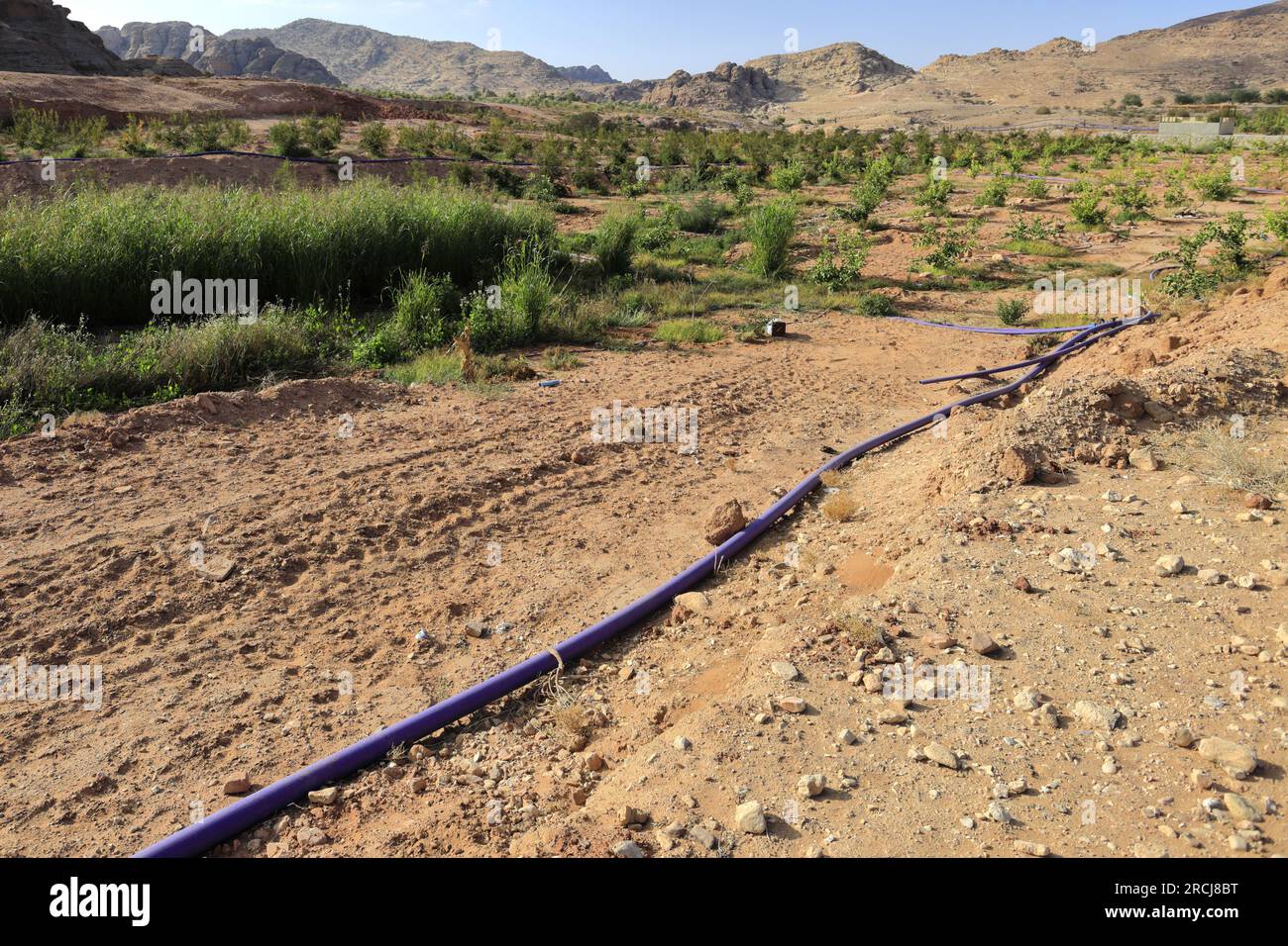 Petra jordan water channel hi-res stock photography and images - Alamy