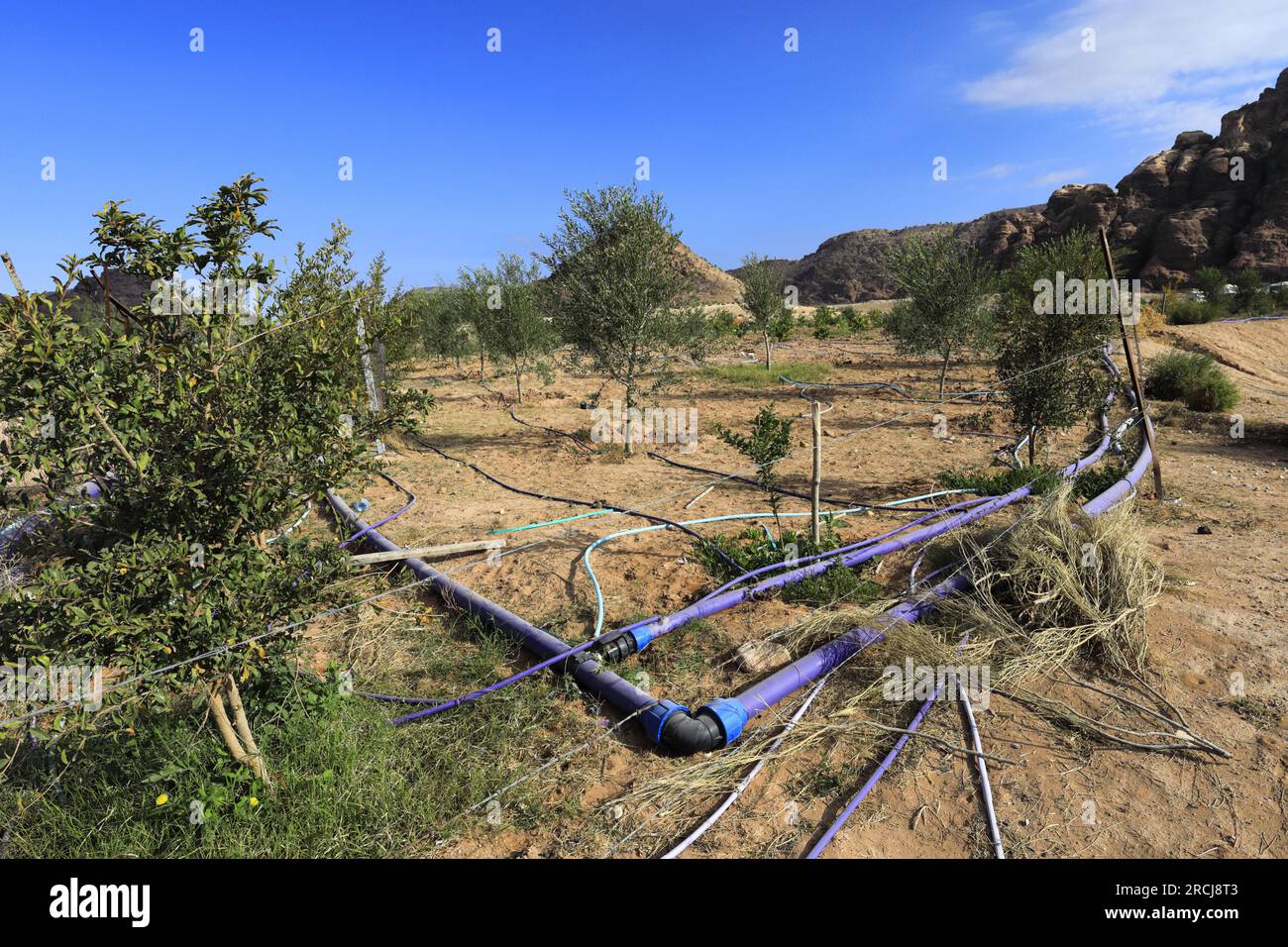 Petra jordan water channel hi-res stock photography and images - Alamy