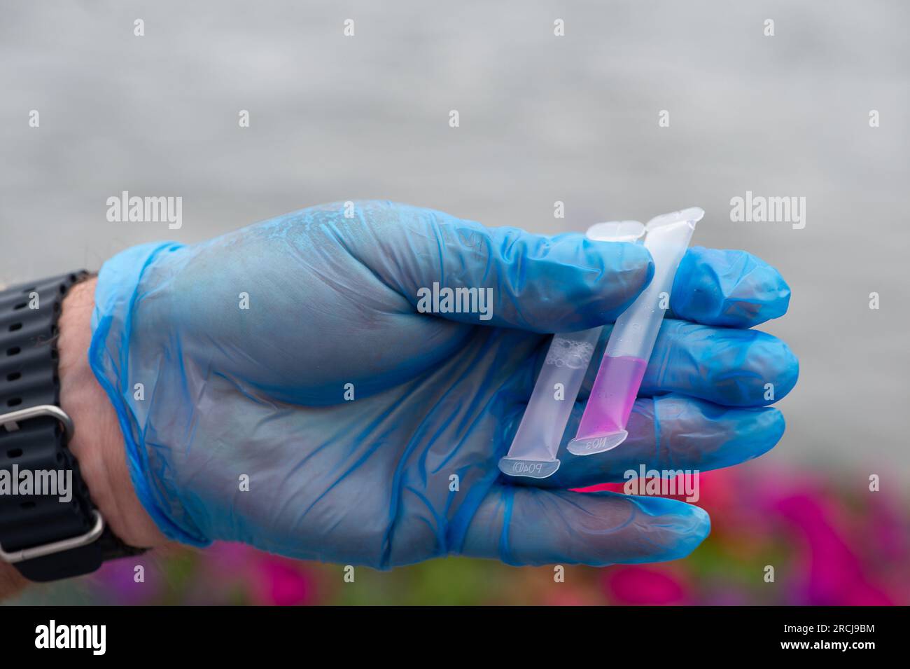 Henley-on-Thames, Oxfordshire, UK. 27th June, 2023. Citizen Scientists ...