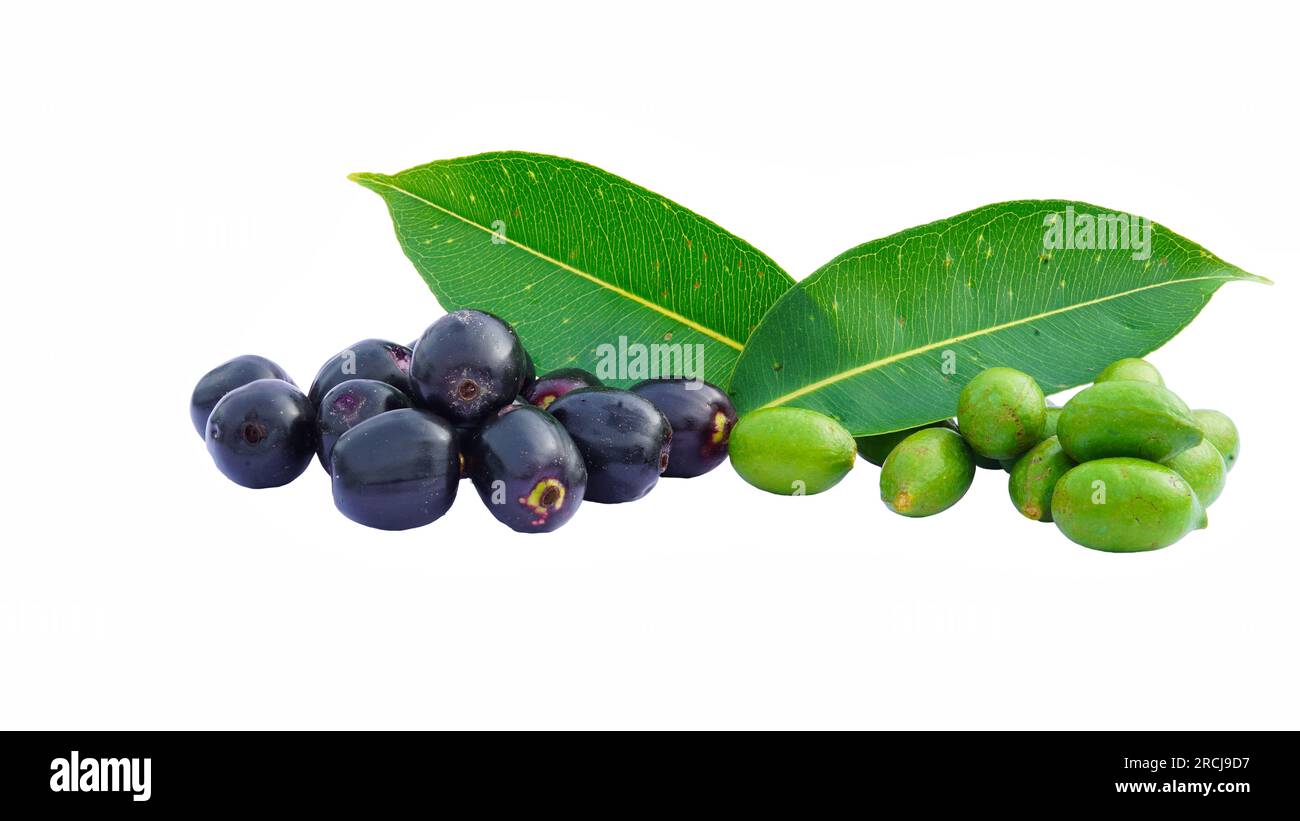 Jamun Fruit Wallpaper