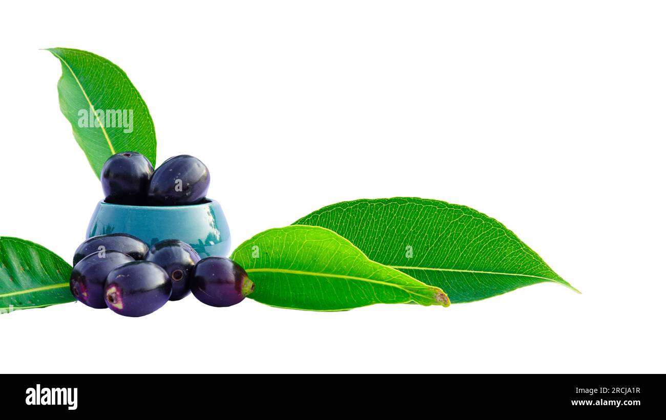 Jamun or Syzygium Cumini in a Ceramic Bowl with Leaves Isolated on ...