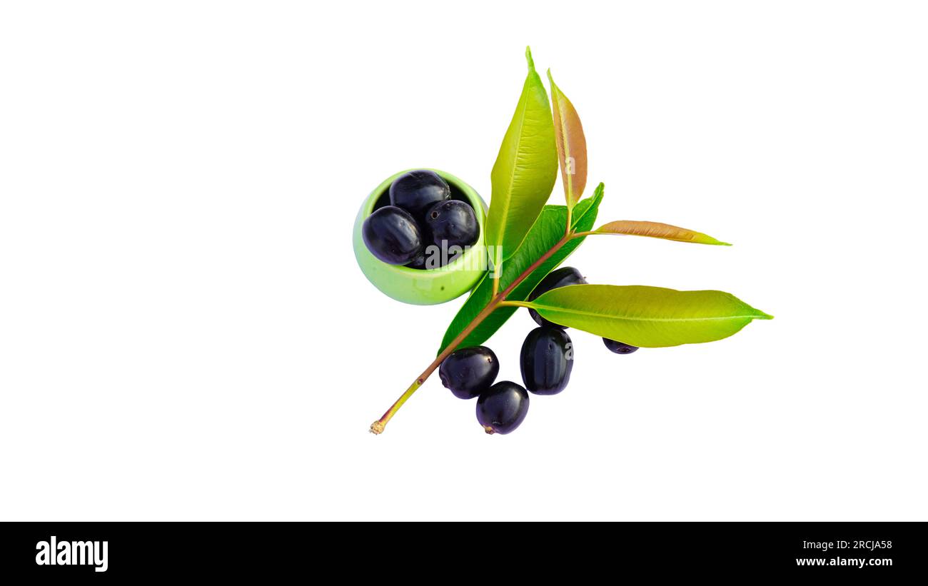 Jamun or Syzygium Cumini in a Ceramic Bowl with Leaves Isolated on ...