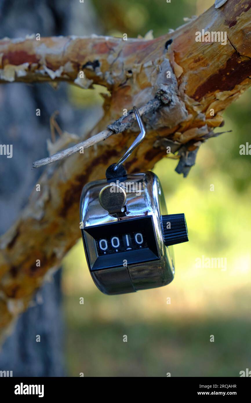 Manual mechanical counter on the branch Stock Photo - Alamy