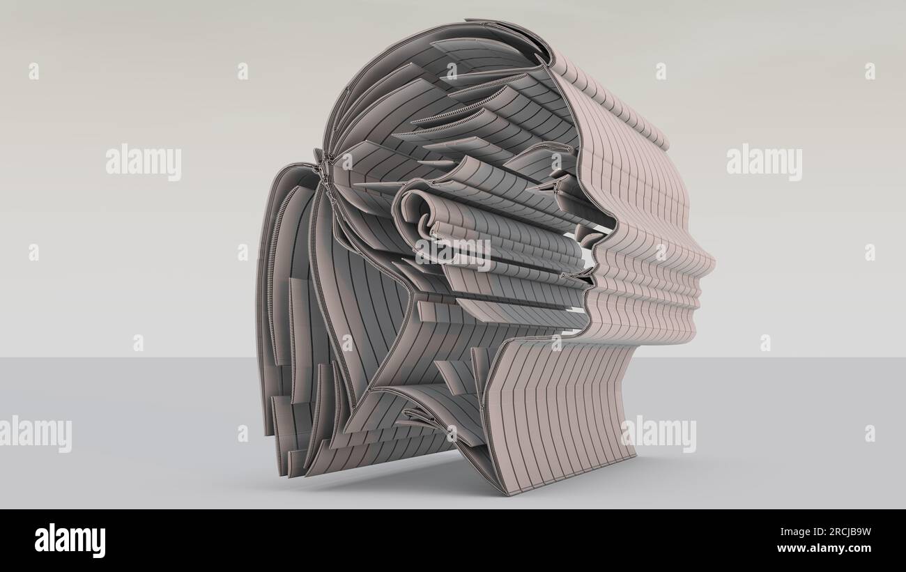 3D architectural illustrated representation of a woman's face ...