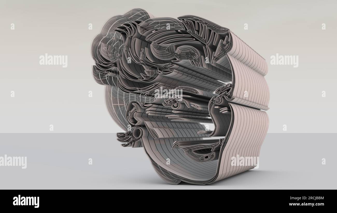 3D architectural illustrated representation of a woman's face ...