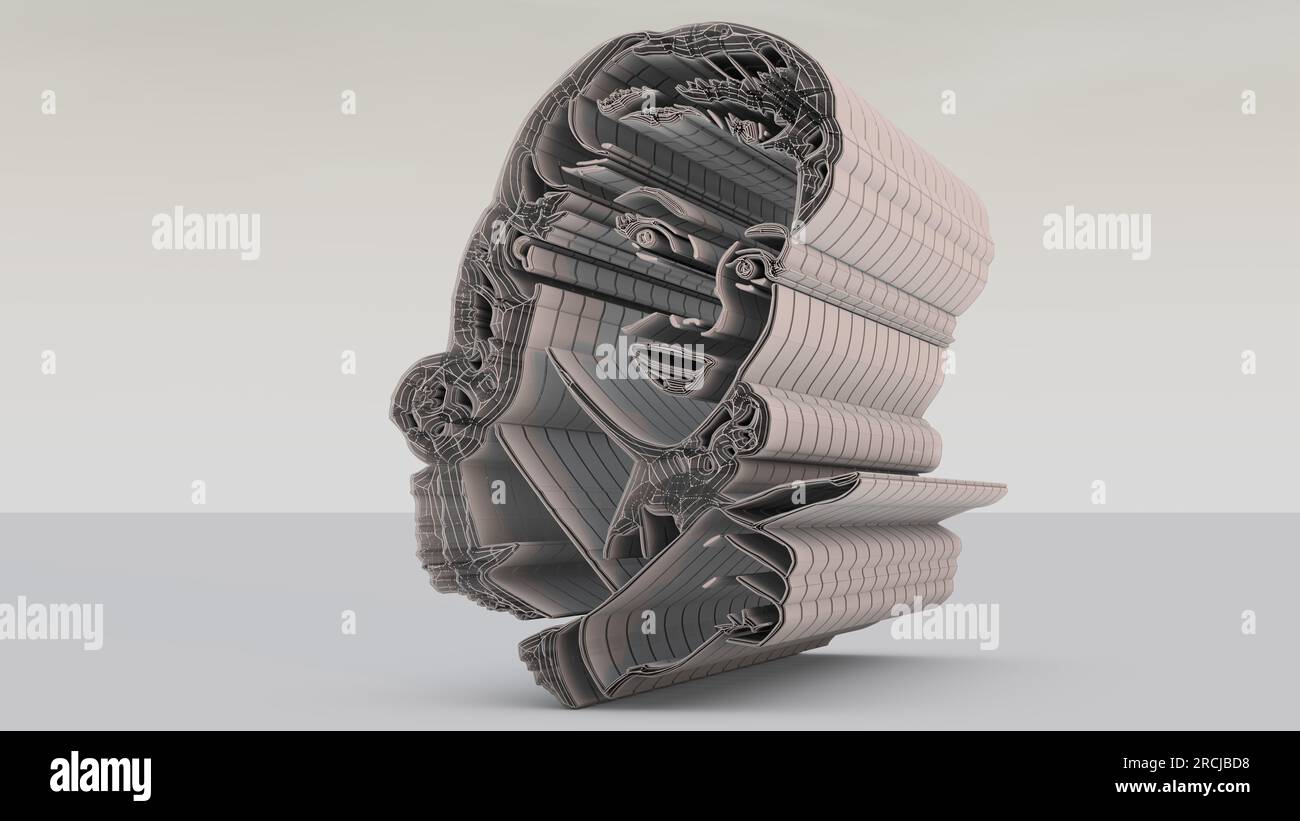 3D architectural illustrated representation of a woman's face ...