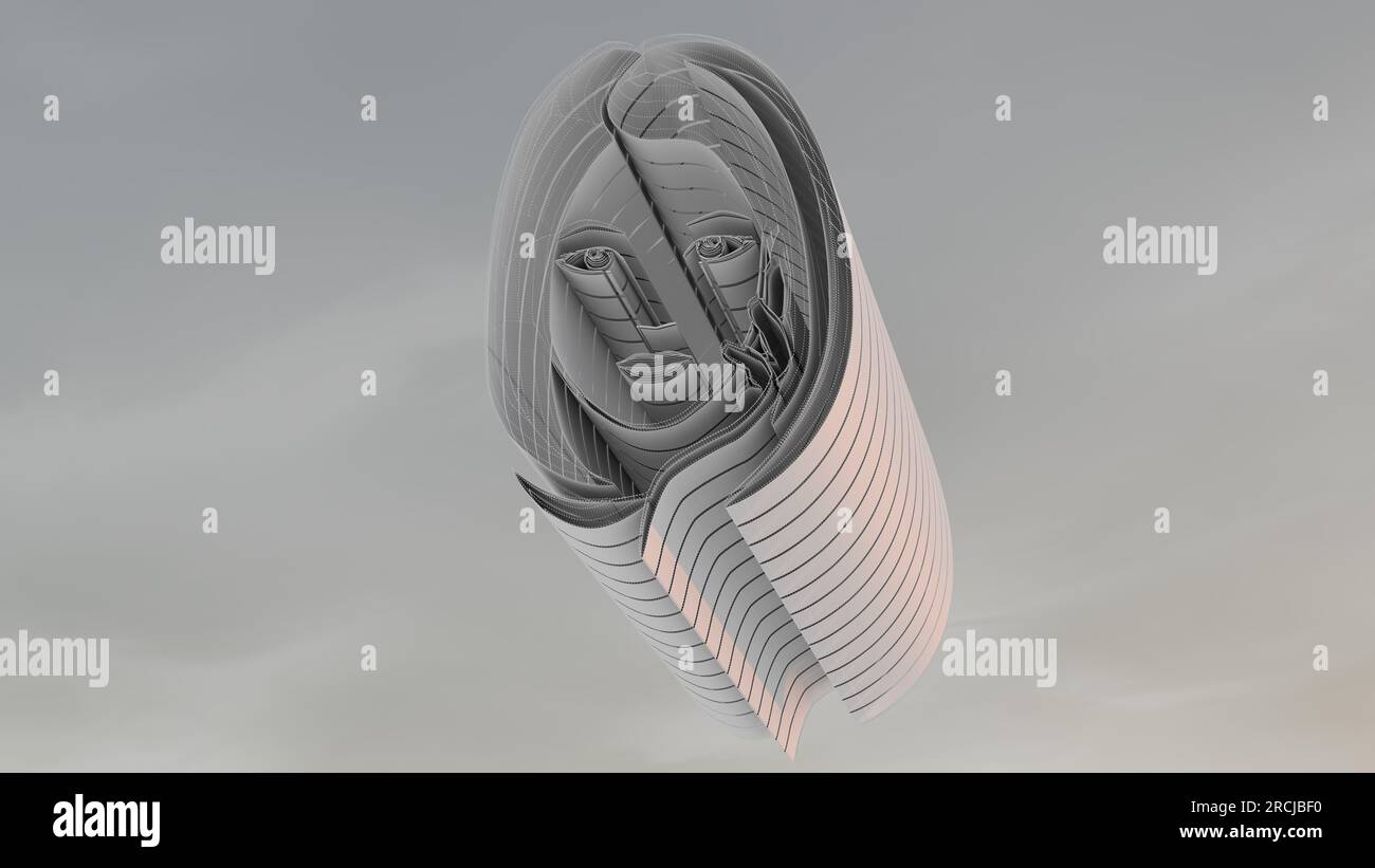3D architectural illustrated representation of a woman's face ...