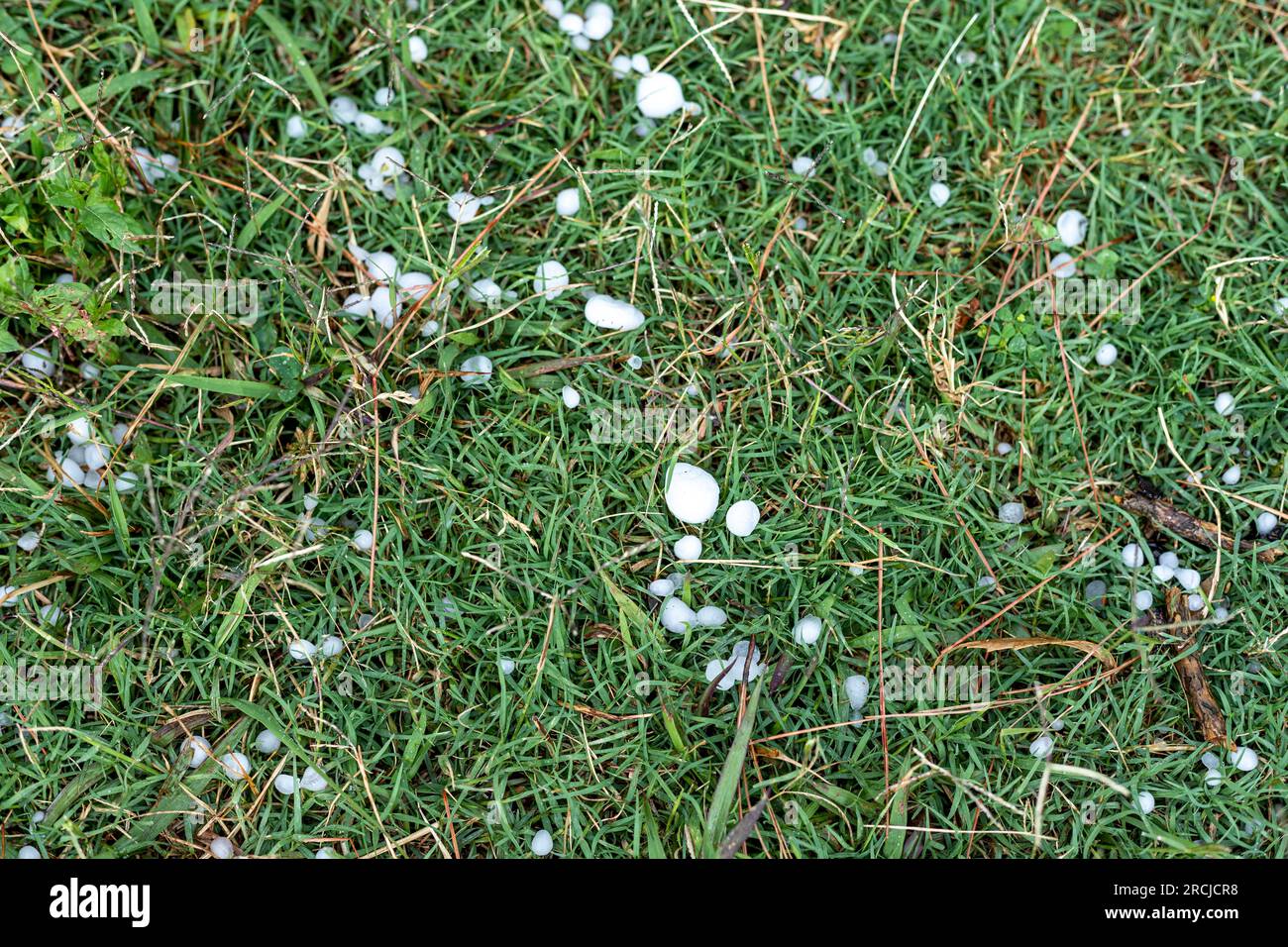 Hail in the garden after hailstorm Stock Photo - Alamy
