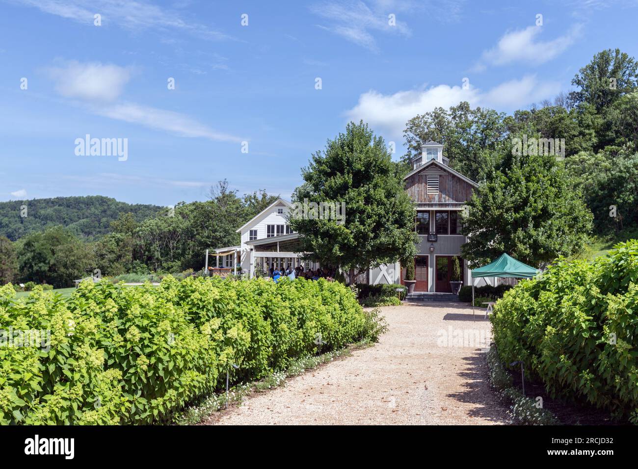 Pippin Hill Farm & Vineyards in Virginia,USA Stock Photo - Alamy