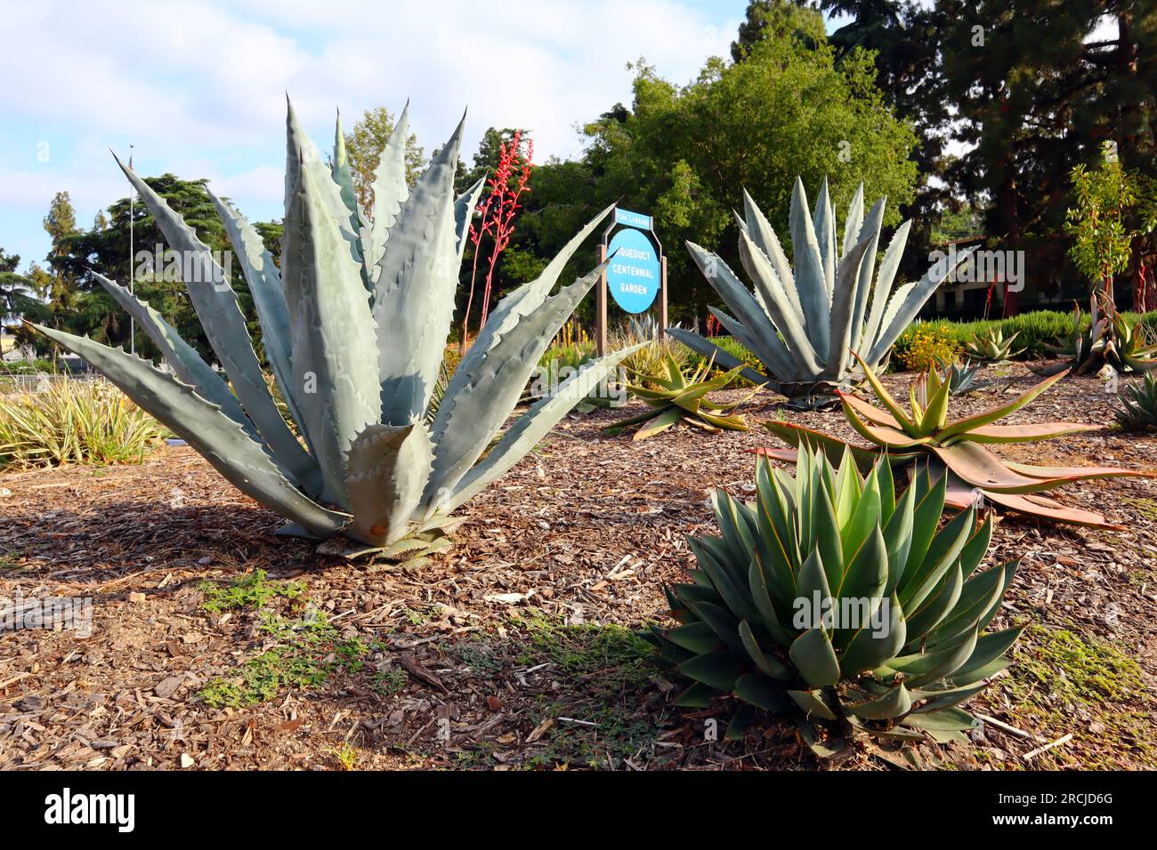 Los Angeles, California: Tom Labonge Aqueduct Centennial Garden Stock ...