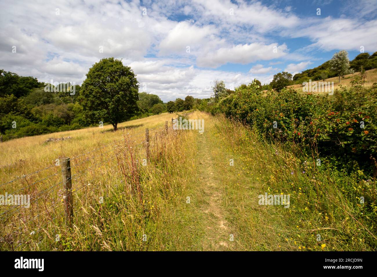 Environmentally important open space landscape in the Surrey Hills Area ...