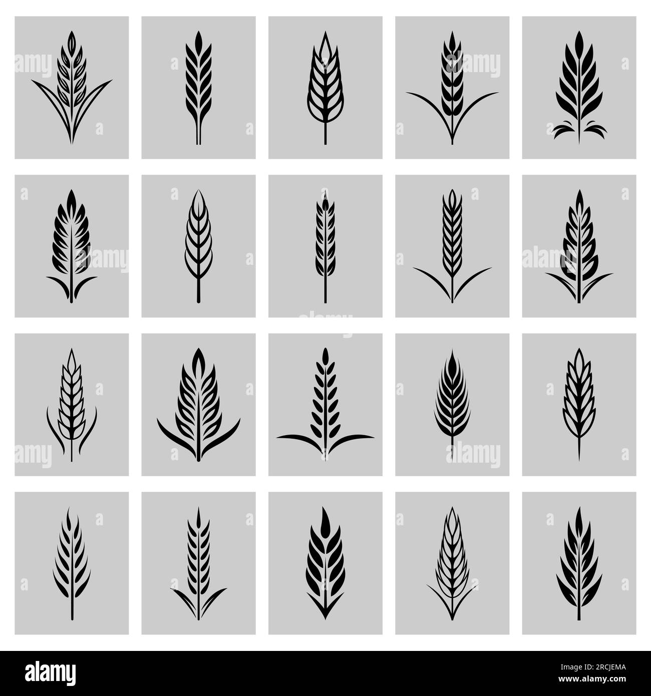 Flat Vector Black and White Agriculture Wheat Icon Set, Organic Wheat ...