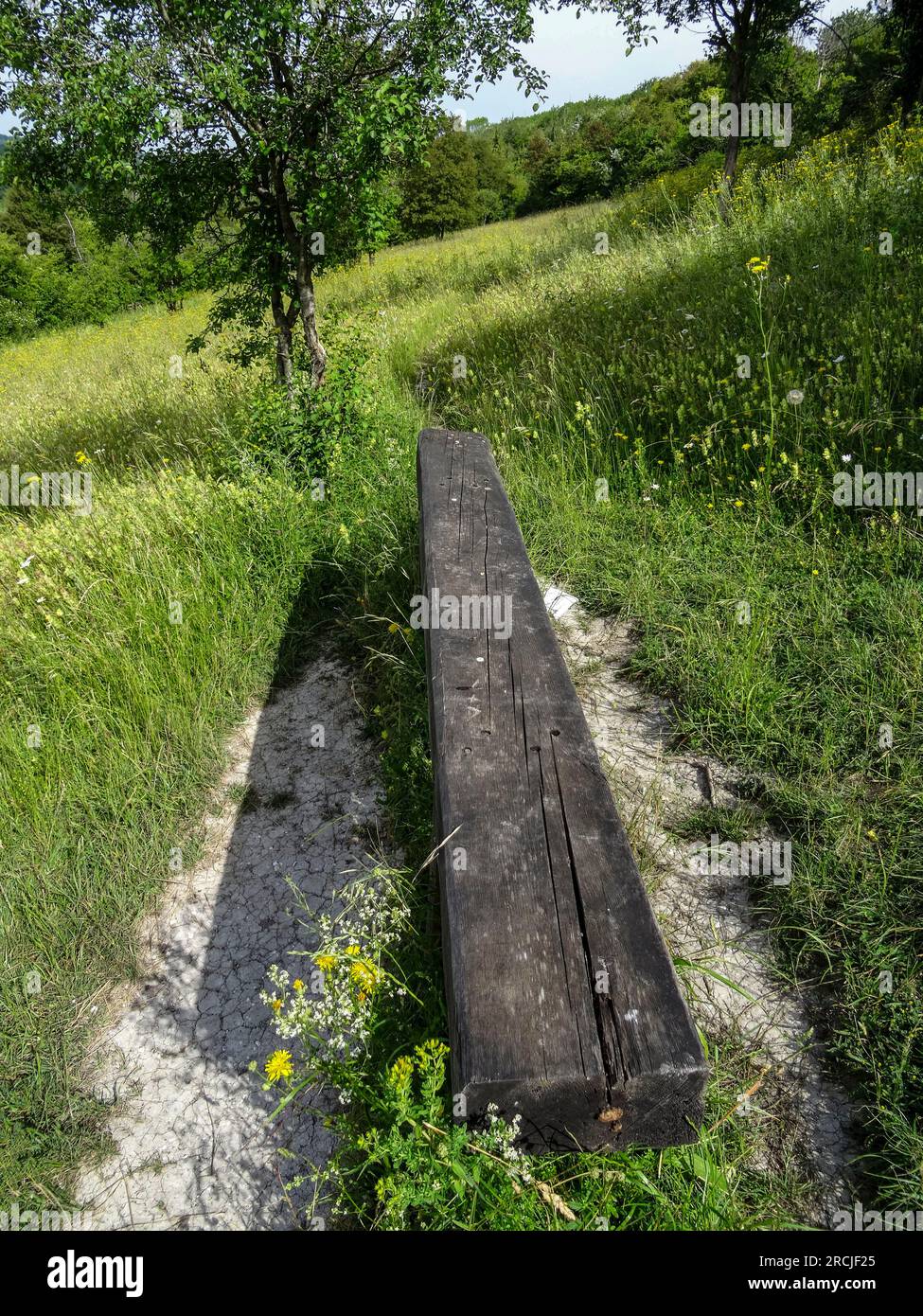 Environmentally important open space landscape in the Surrey Hills Area ...