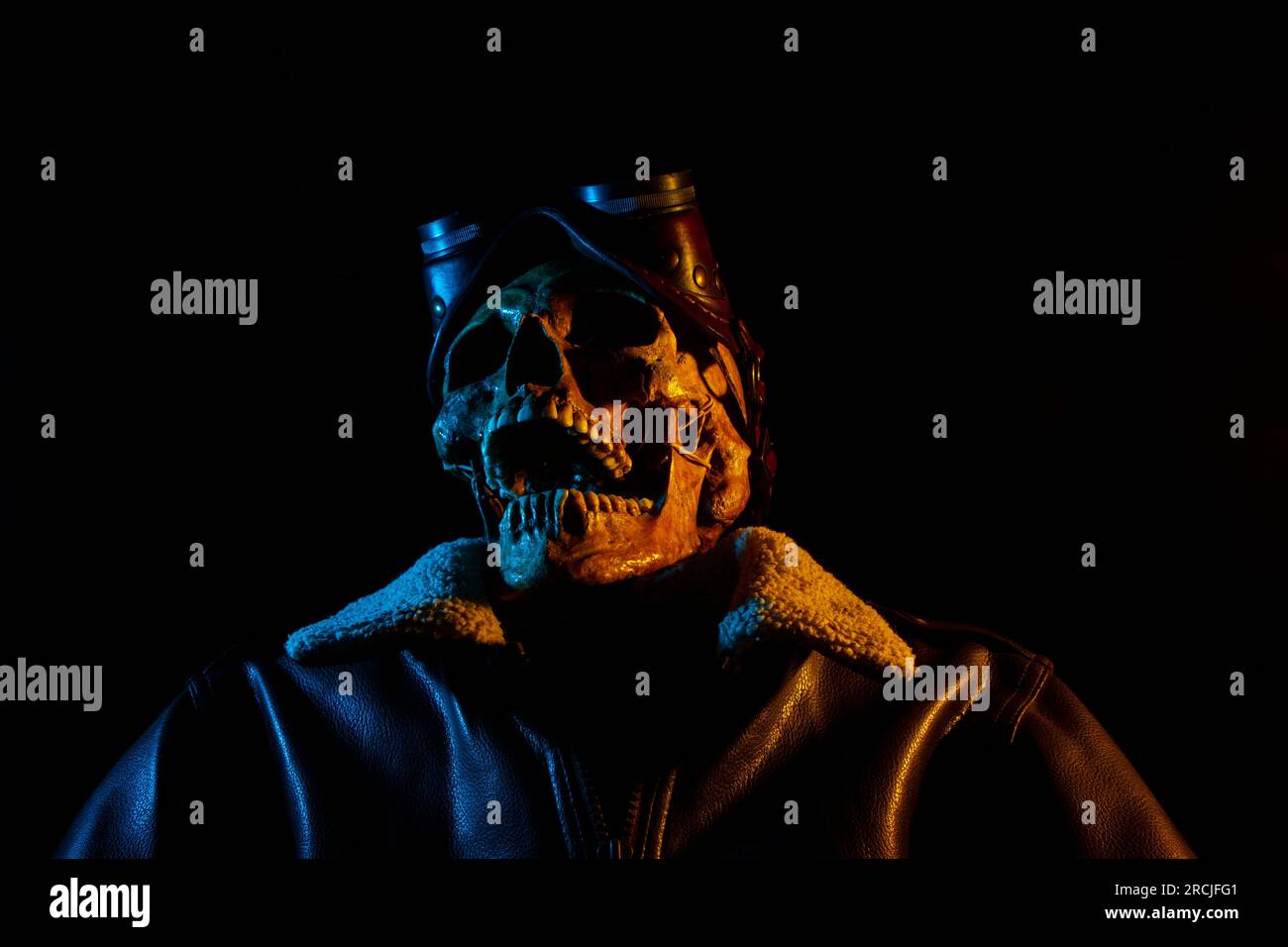 Skull with leather jacket and steampunk goggles. Aviator costume ...