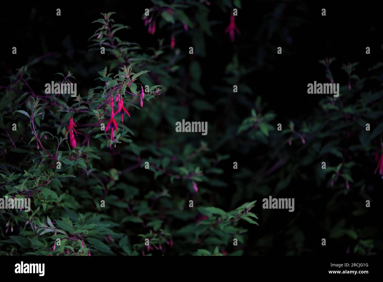 Nature inspired enviroments hi-res stock photography and images - Alamy