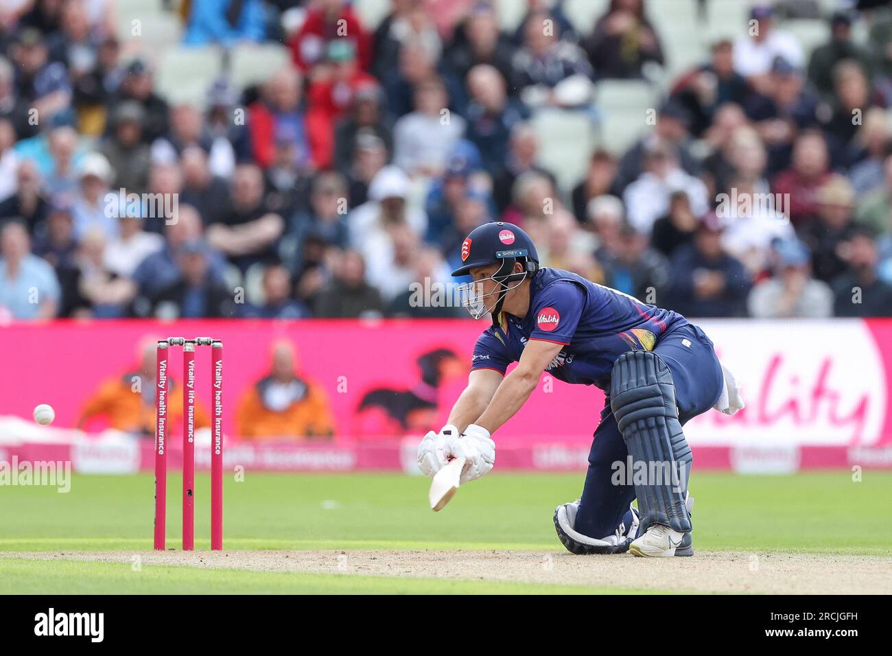 Michael pepper hi-res stock photography and images - Alamy