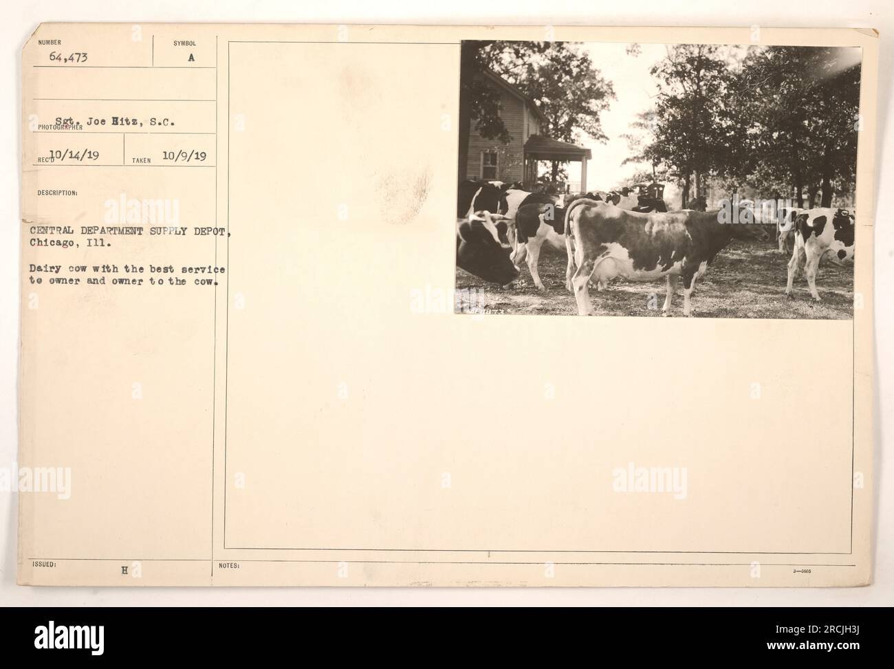 Owner cow relationship hi-res stock photography and images - Alamy