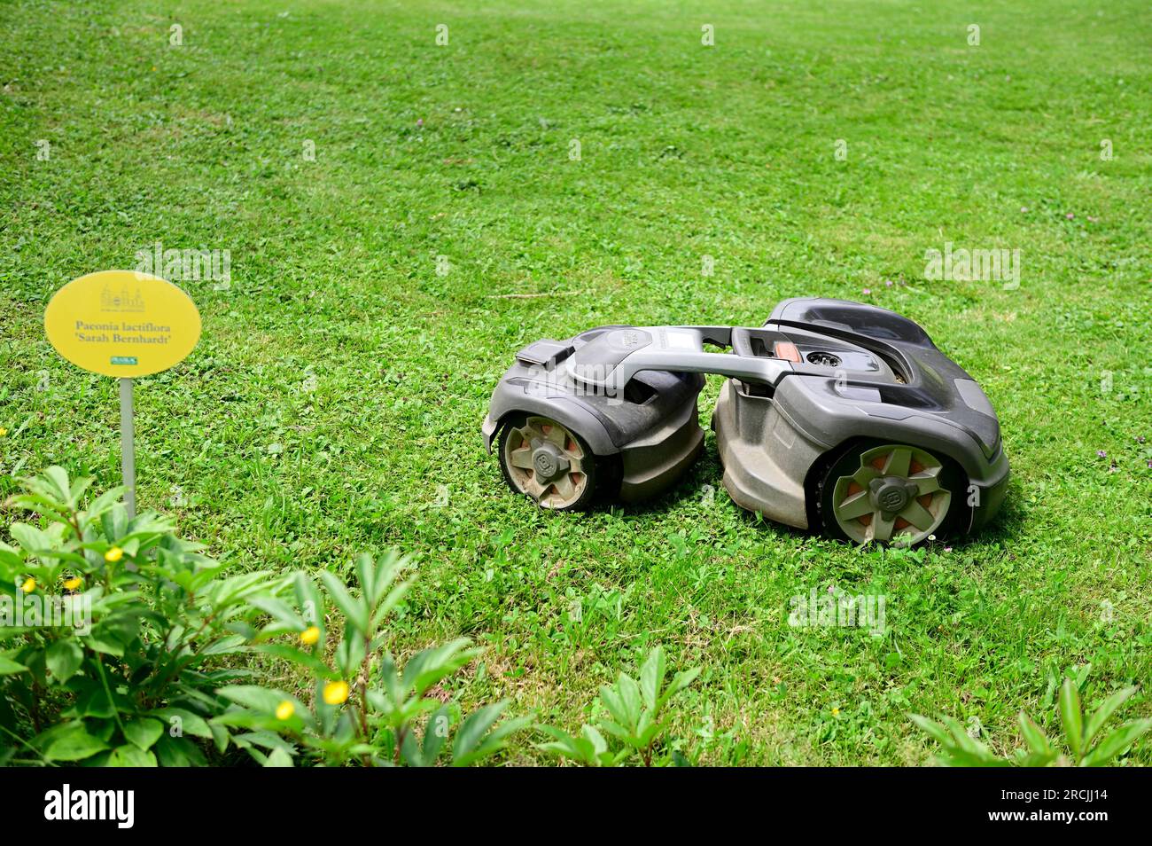 Robot kinematics hi-res stock photography and images - Alamy