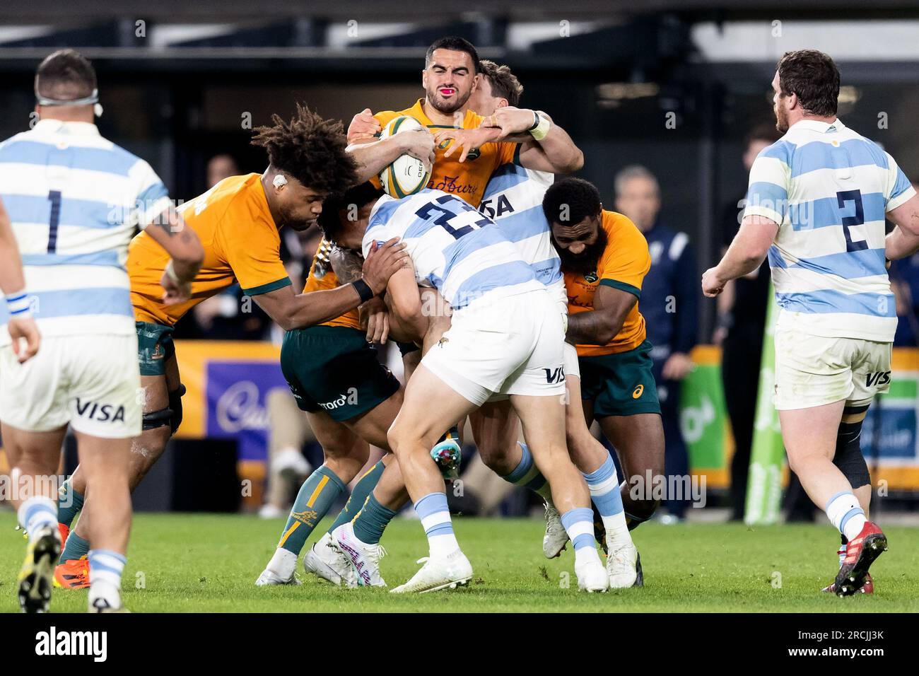 Tom wright rugby hi-res stock photography and images - Alamy
