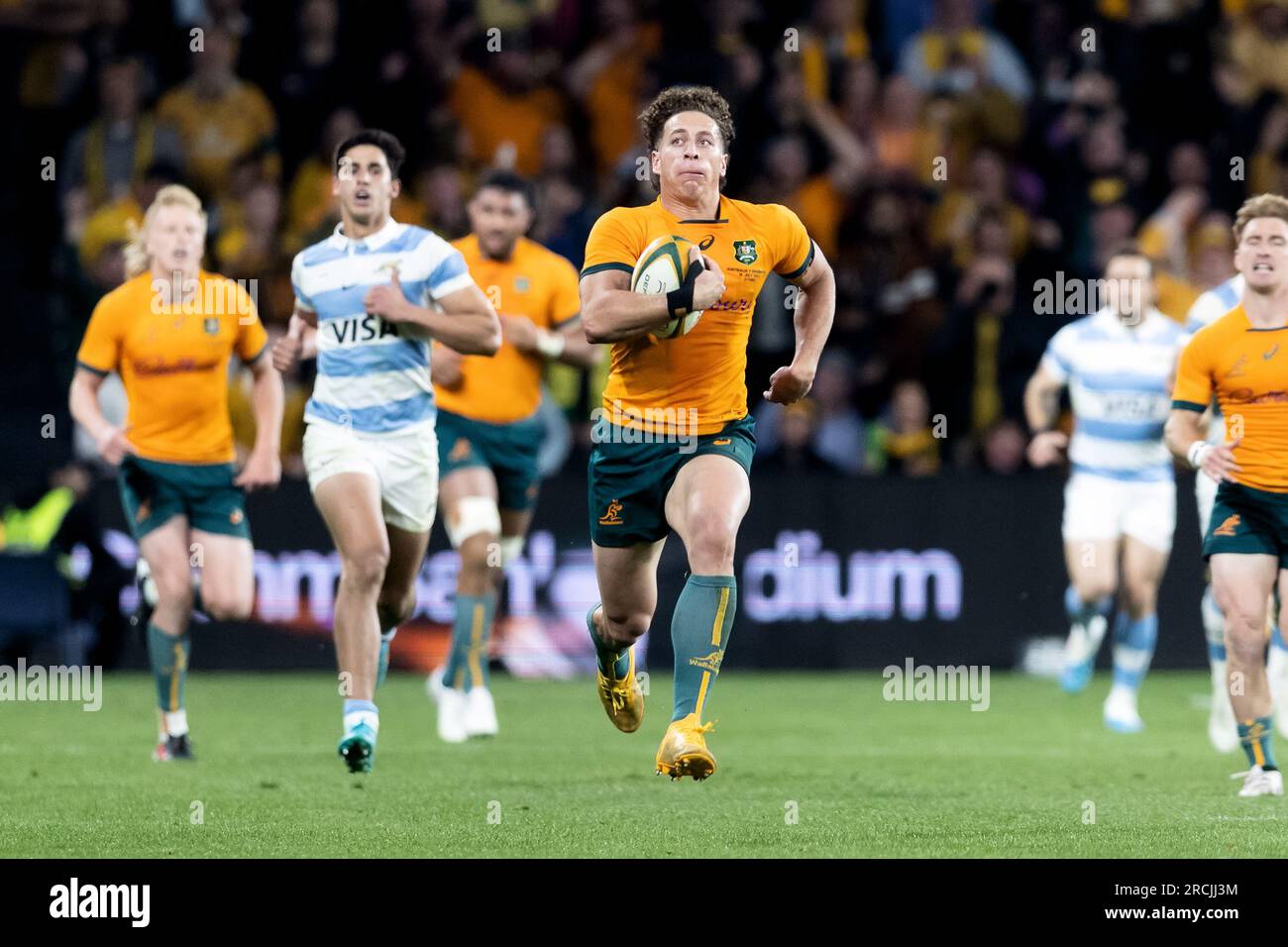 Sydney, Australia, 15 July, 2023. Mark Nawaqanitawase of Wallabies ...
