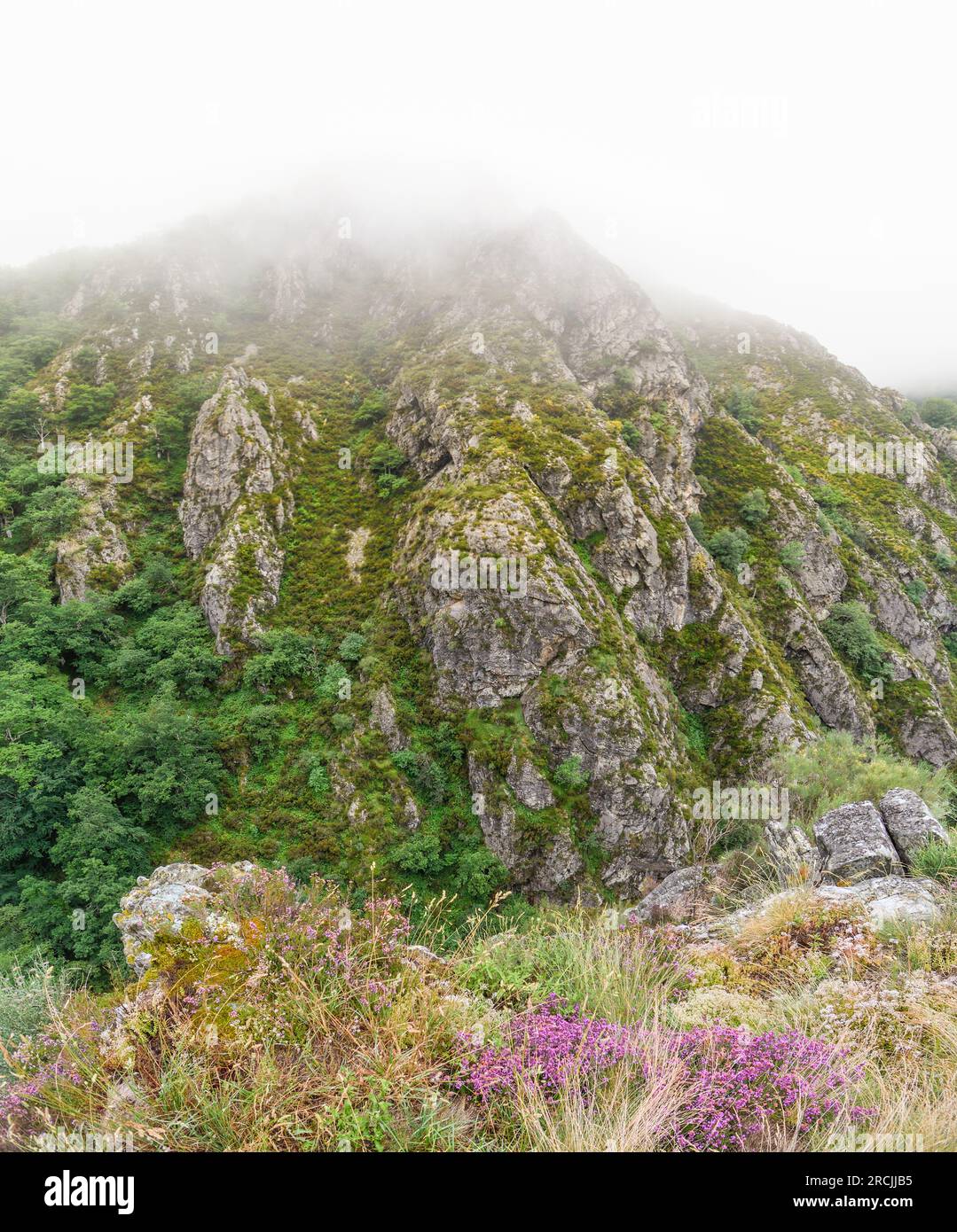 Limestone mountain between the fog in the Los Beyos gorge Stock Photo ...
