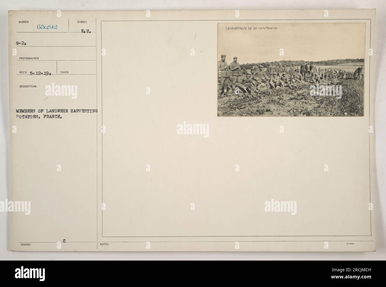 Members of the Landwehr, a German military reserve, are seen harvesting ...