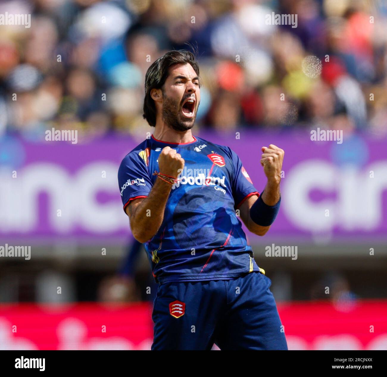 James vince hawks hi-res stock photography and images - Alamy