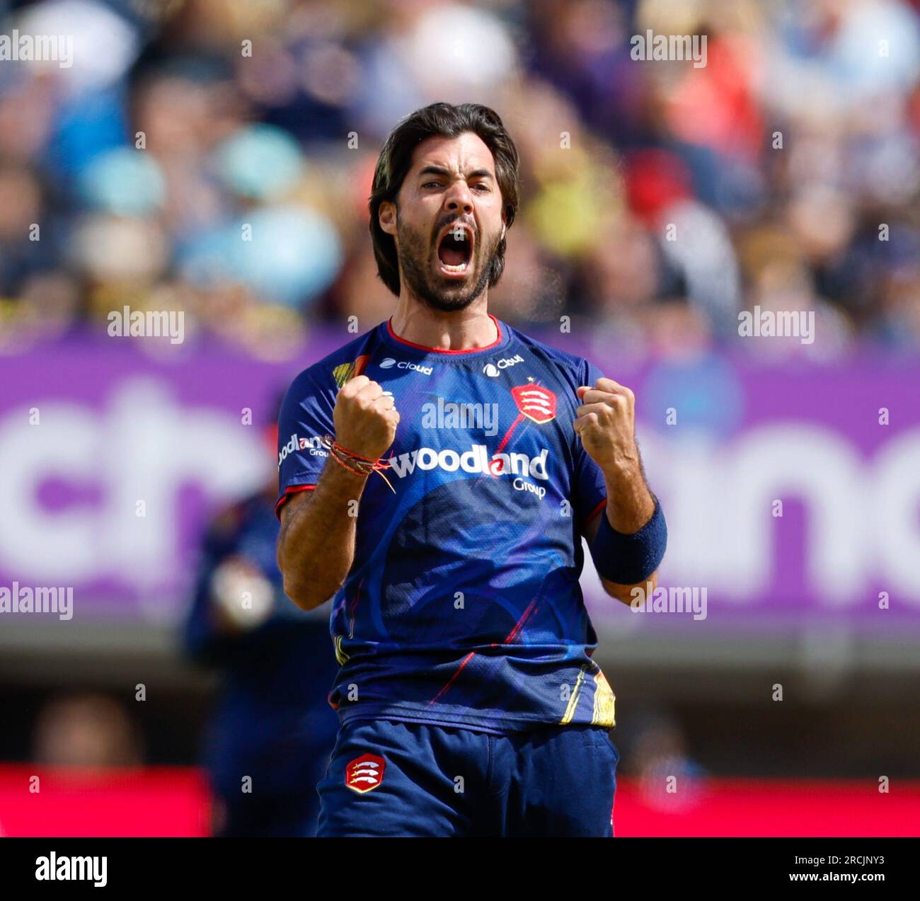 James vince hawks hi-res stock photography and images - Alamy