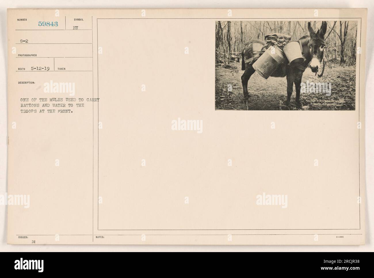 A mule transporting rations and water to troops on the front lines ...