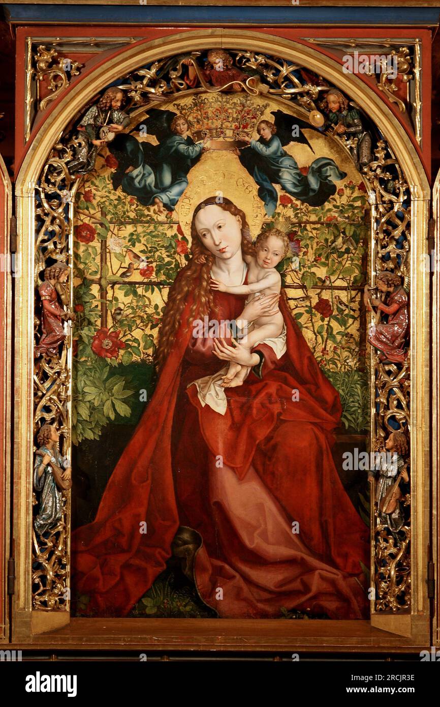 Collegiate of St Martin, Colmar, Alsace, Grand Est, France Stock Photo ...