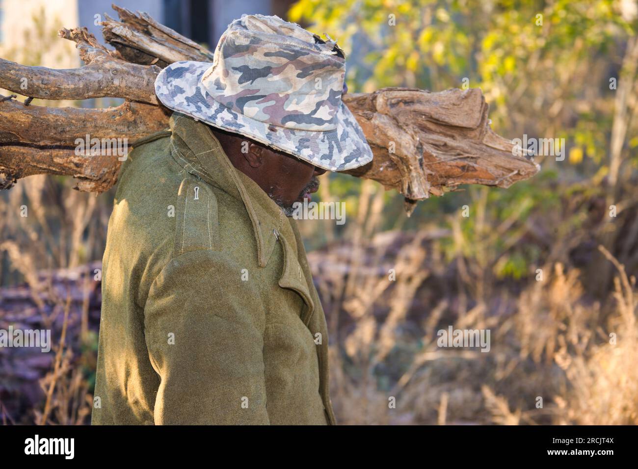 old african man carry a wood lug in the back for cooking and to warm up ...