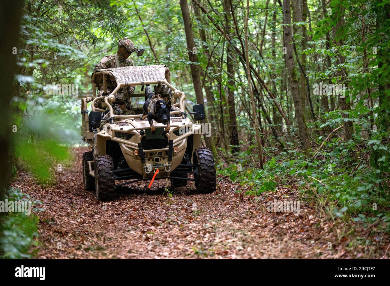 Ulmen, Germany. 15th July, 2023. A service dog of the Special Forces ...