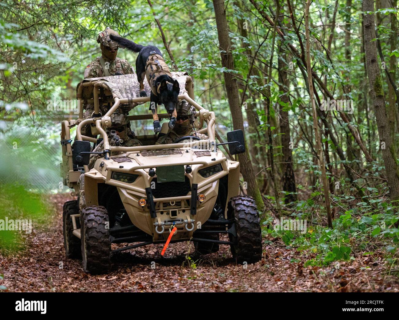 Ulmen, Germany. 15th July, 2023. A service dog of the Special Forces ...