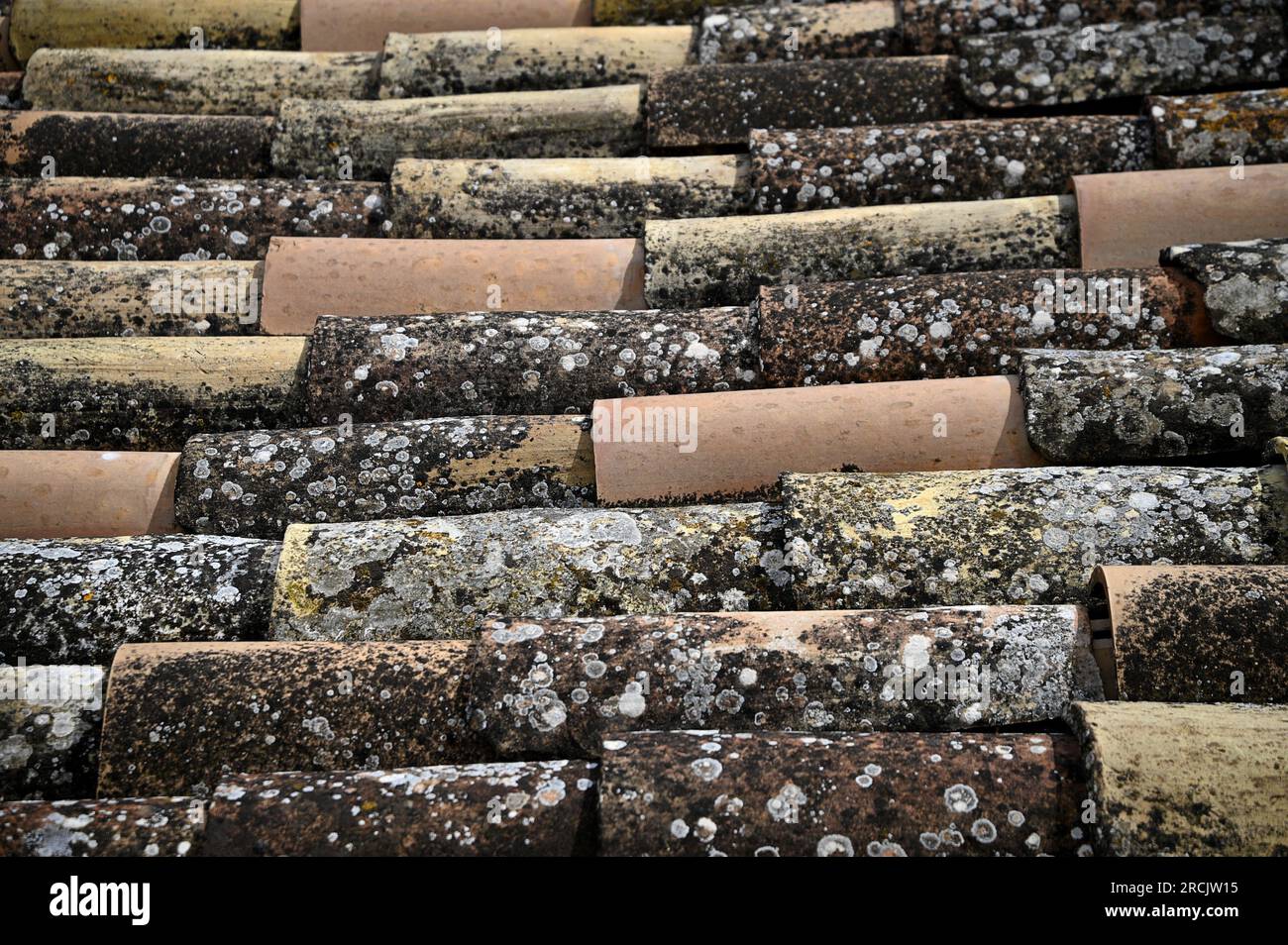 Antique weathered terra cotta clay tile rooftop in Palermo Sicily ...