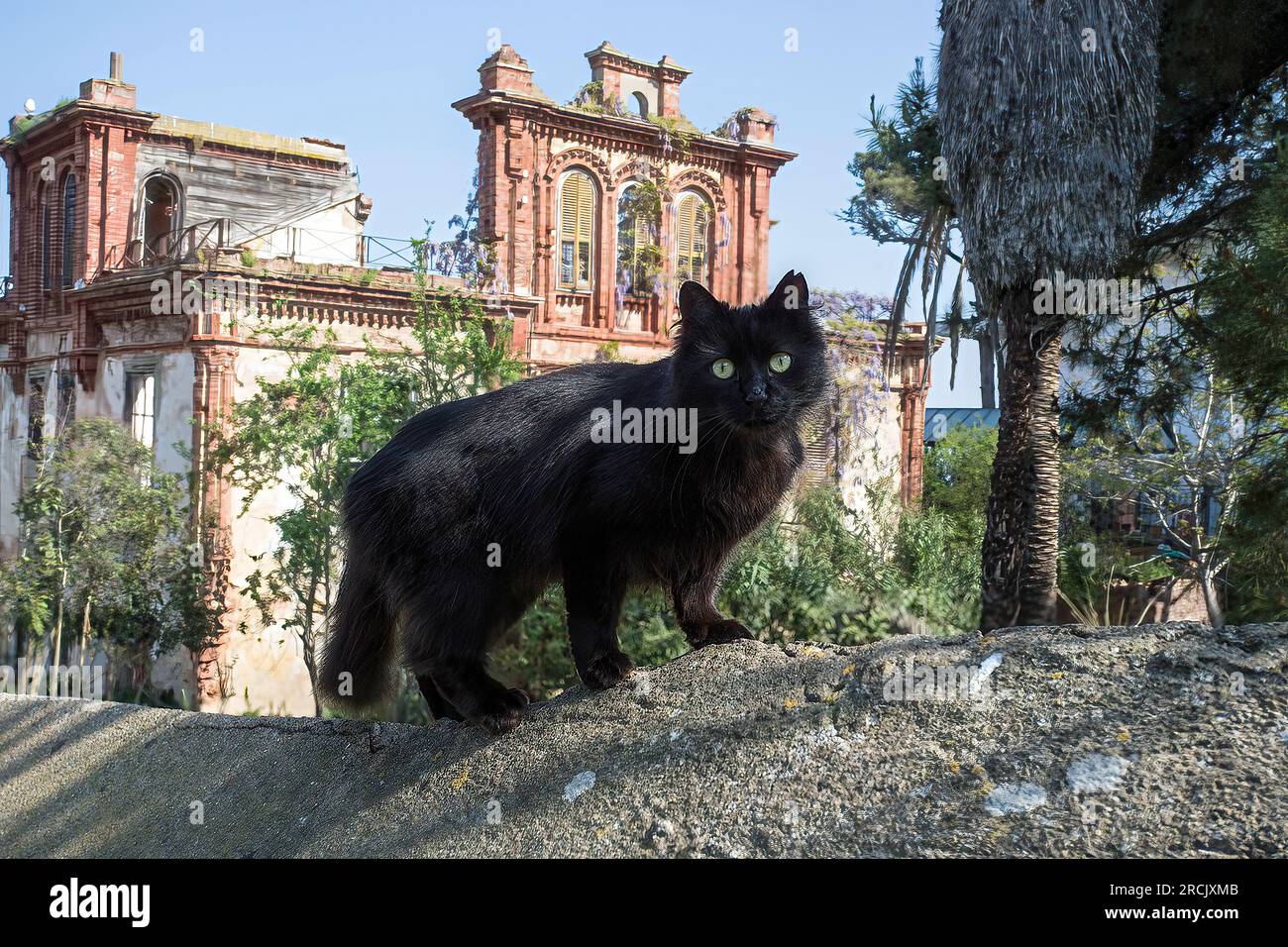 Lev davidovitch bronstein hi-res stock photography and images - Alamy