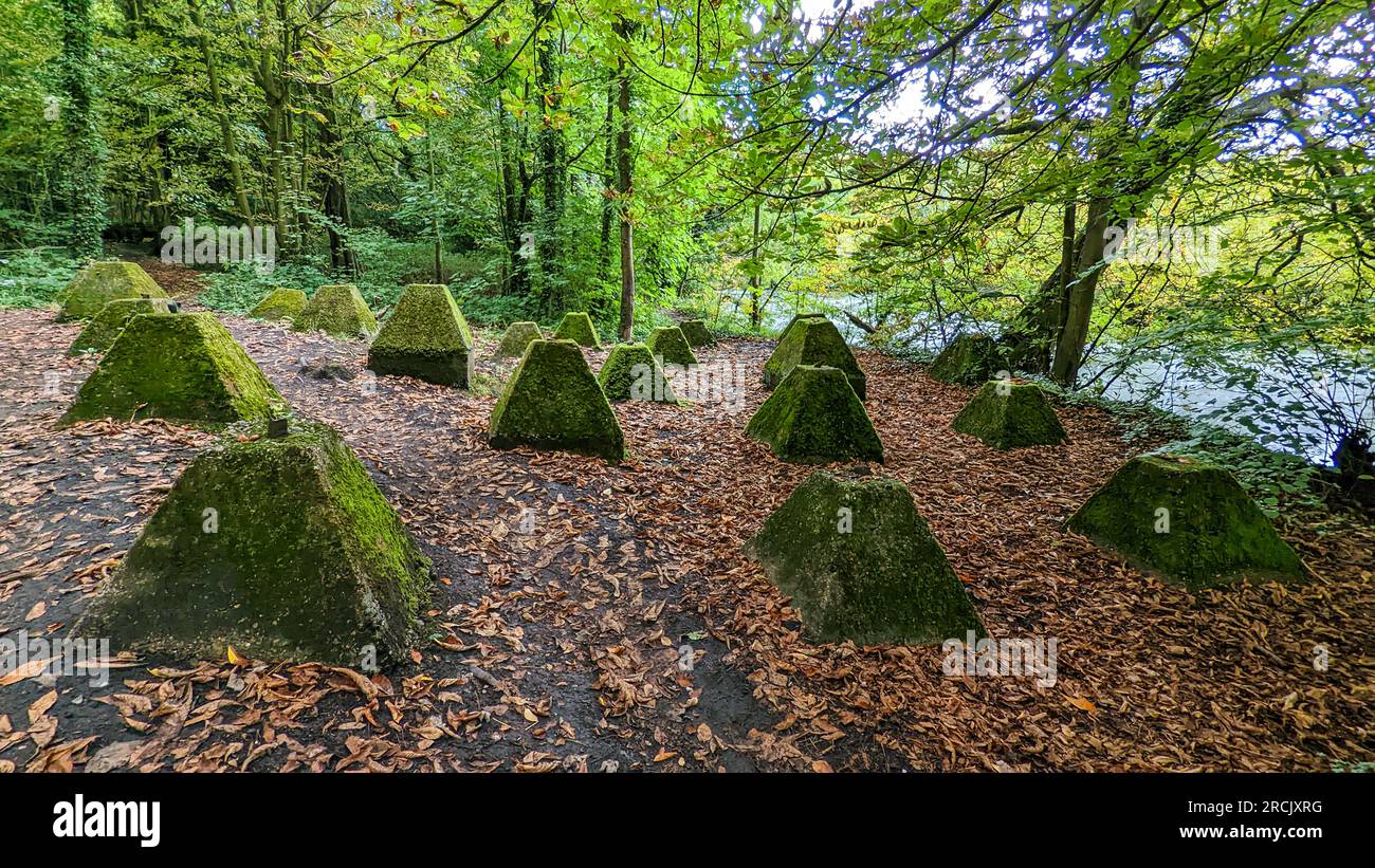 Wey Navigation and Basingstoke Canal entire route locks canal boats ...