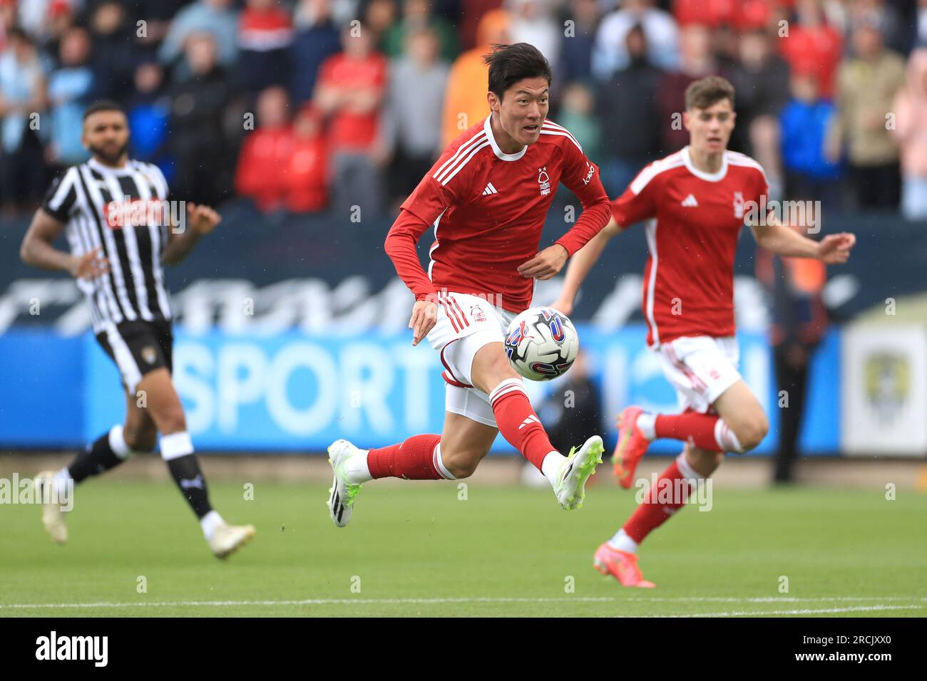 Ui jo hwang forest hi-res stock photography and images - Alamy