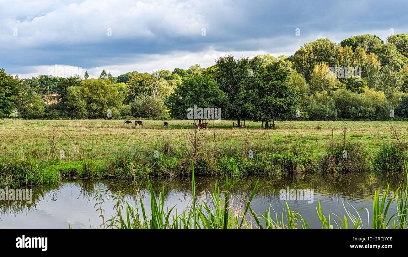 Wey Navigation and Basingstoke Canal entire route locks canal boats ...